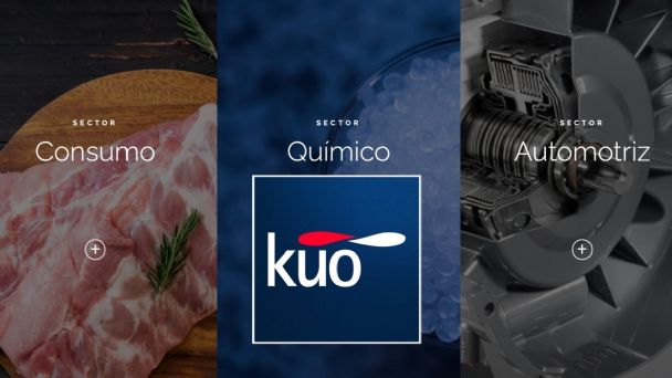 Sectores químico y automotriz, impulsan el crecimiento de Grupo Kuo